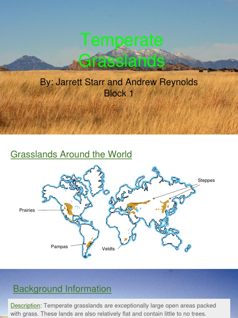 Temperate Grasslands Biome Project | PDF | Grassland | Prairie
