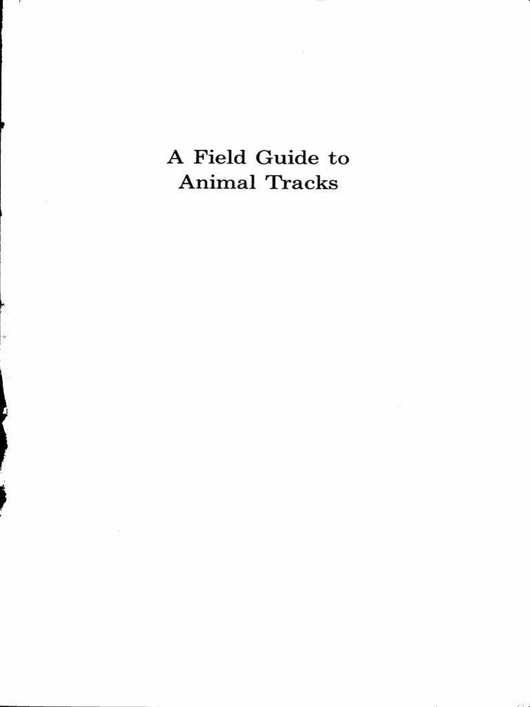 A Field Guide To Animal Tracks PDF | PDF