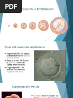 Desarrollo Del Saco Coriónico | PDF | Ciencia y matemáticas