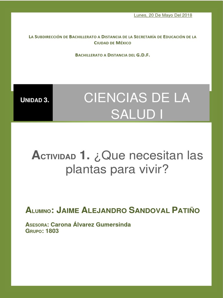 Necesidades Vitales de las Plantas | PDF | Plantas | Fotosíntesis