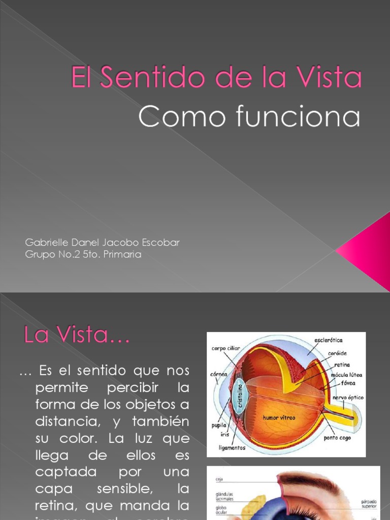 El Sentido de La Vista - Funciones | PDF