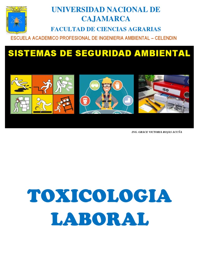 III. Toxicologia Laboral | Descargar gratis PDF | Toxicidad | Biotransformación
