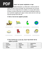 Prova Inicial Lectoescriptura-Primer | PDF