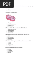Cell Structure and Function Quiz Questions and Answers | PDF ...