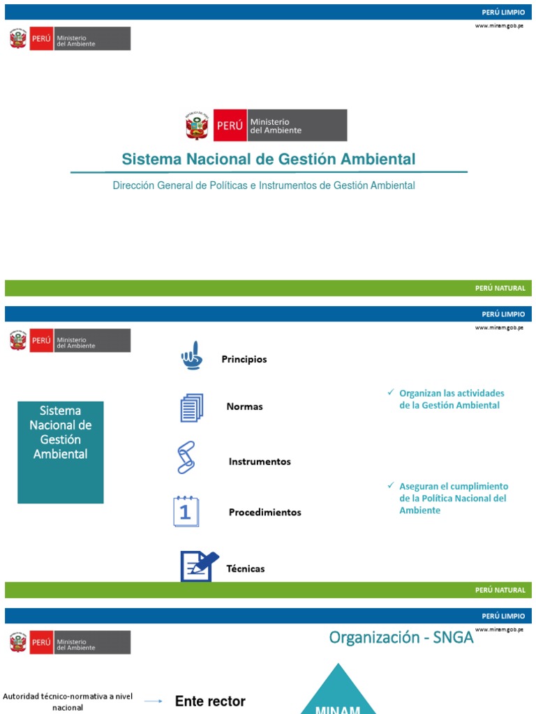 Snga PDF | PDF | Perú | Business