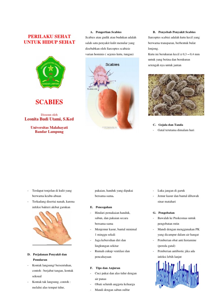 Panduan Lengkap Scabies dan Pencegahannya | PDF