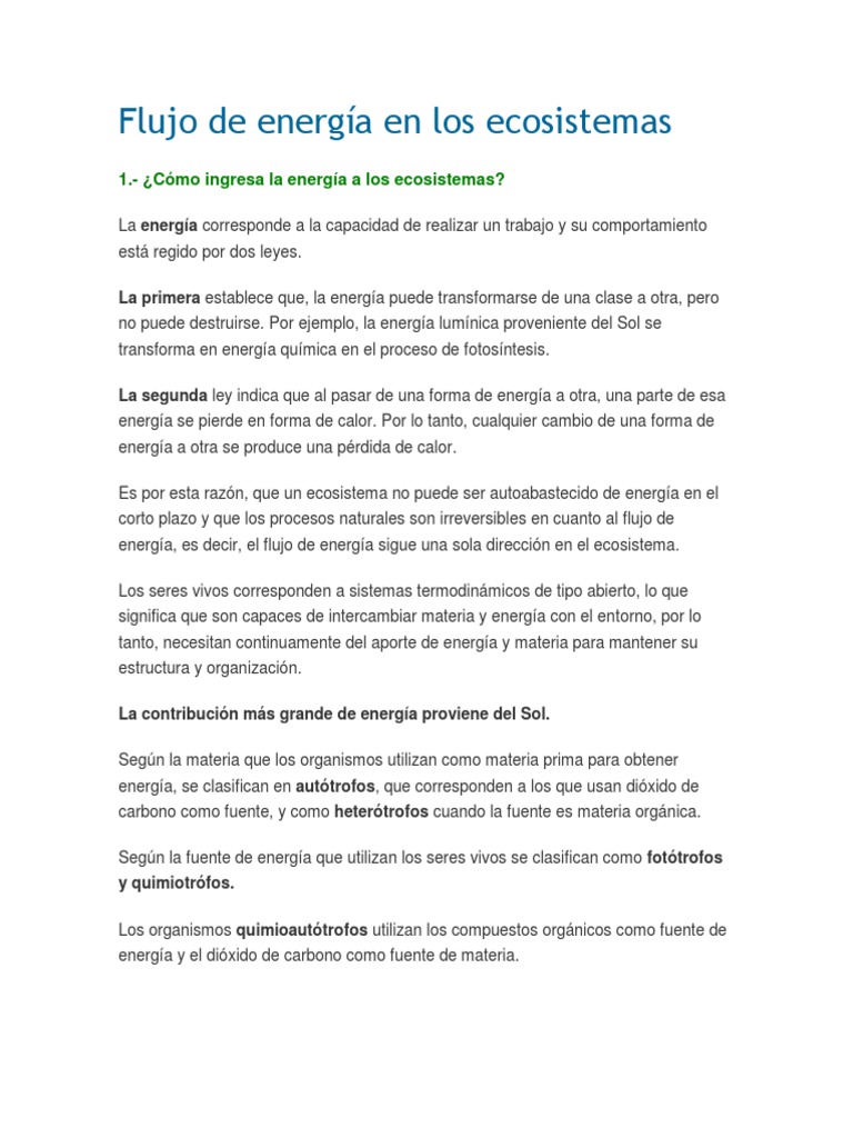 Hoja De Trabajo Sobre El Flujo De Energía En Los Ecosistemas