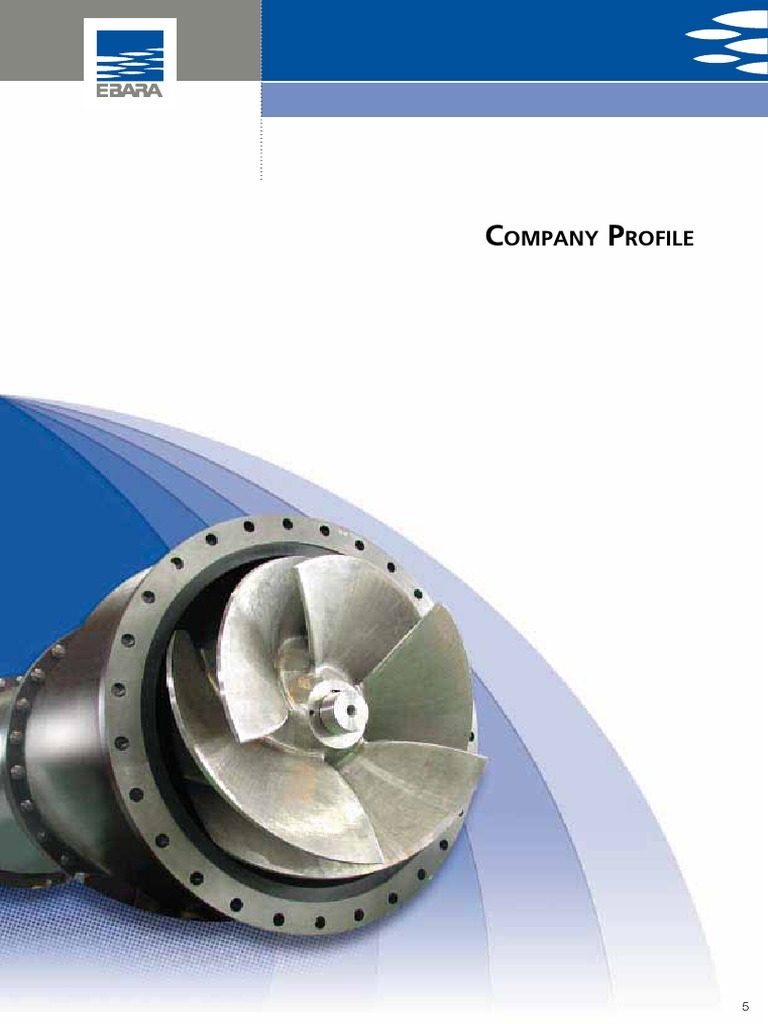 EBARA Company Profile | PDF | Japanese Yen | Stocks