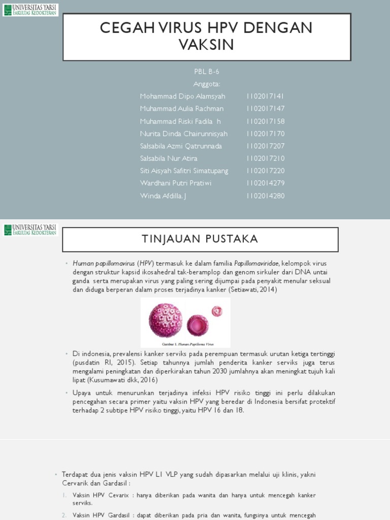 Poster MPT B-6 | PDF