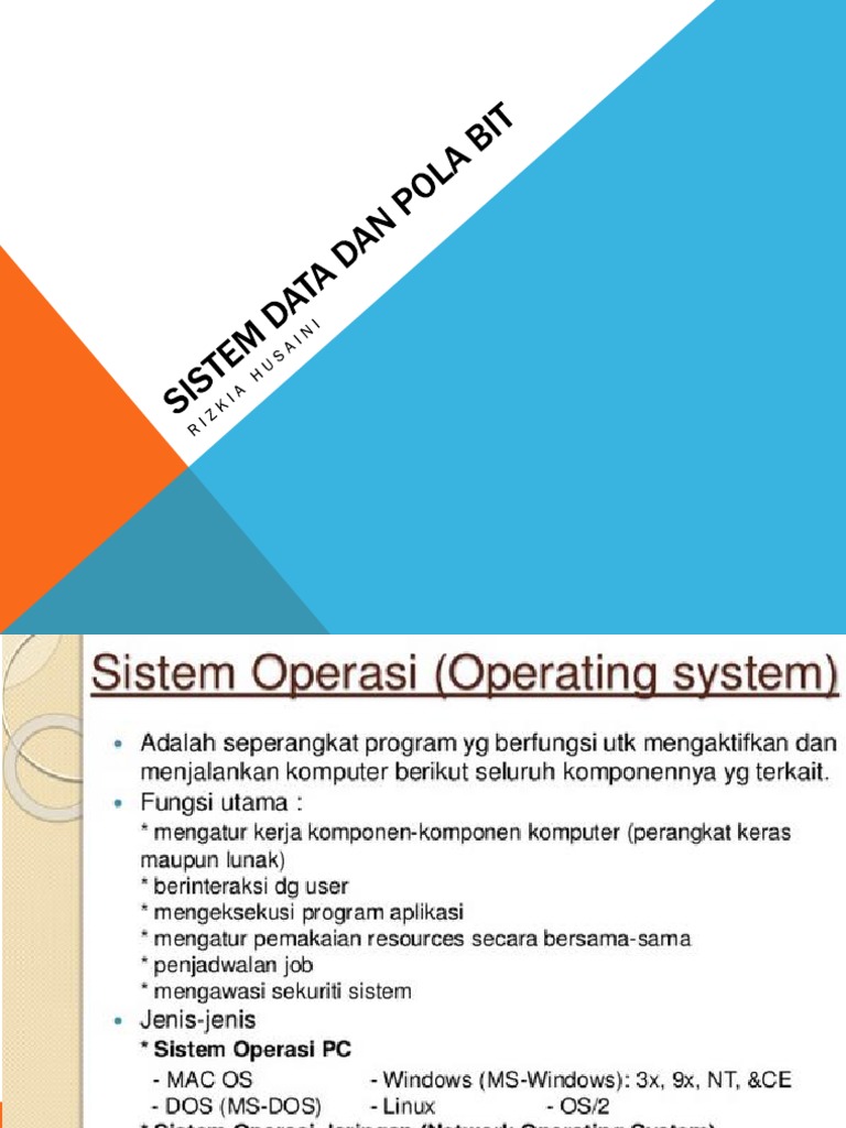 Sistem Data Dan Pola-Pola Bit | PDF