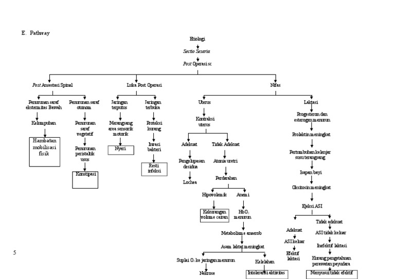 E. Pathway: Sectio Sesaria Post Operasi SC | PDF