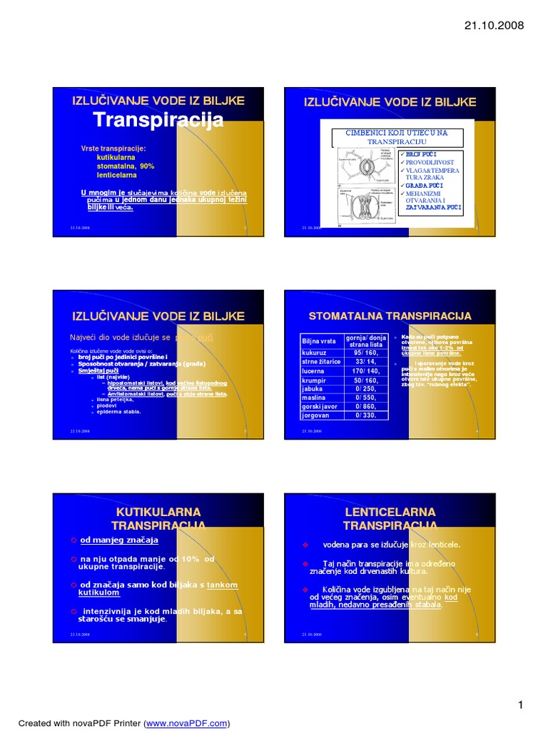 5 Transpiracija PDF | PDF