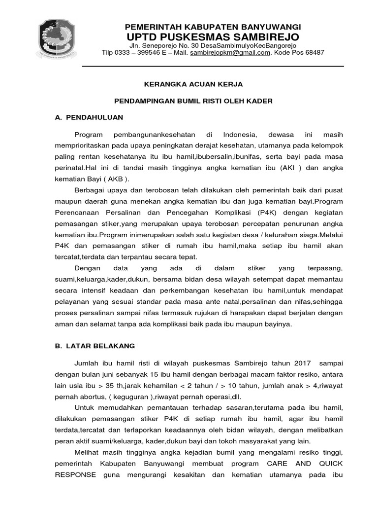 Kak Pendampingan Bumil Risti | PDF