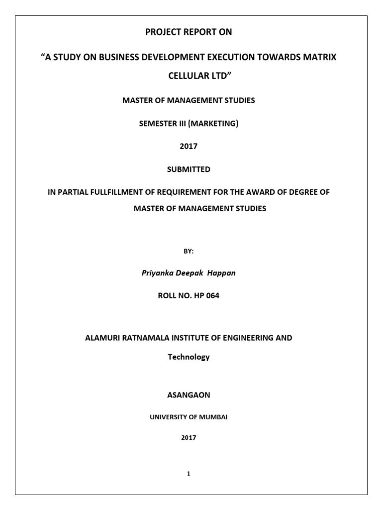 Project Alamuri | PDF | Roaming | Sales