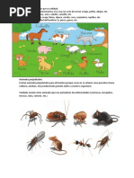 Animales Perjudiciales | PDF