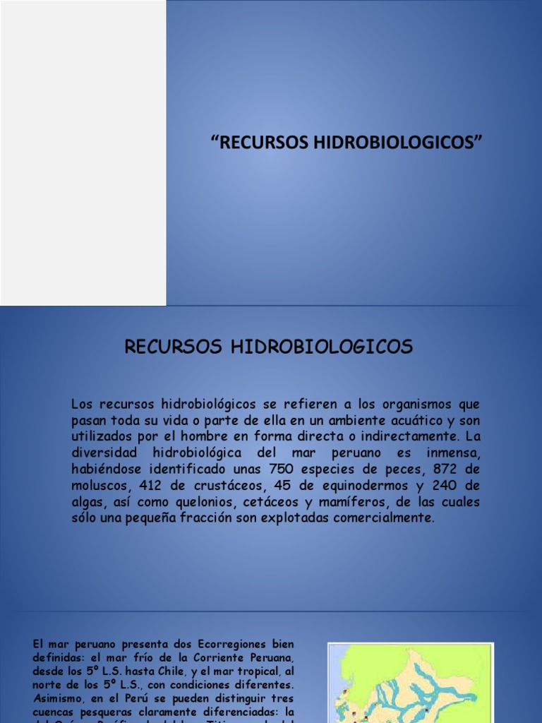 HIDROBIOLOGIA | PDF | Pescado como alimento | Pesquería