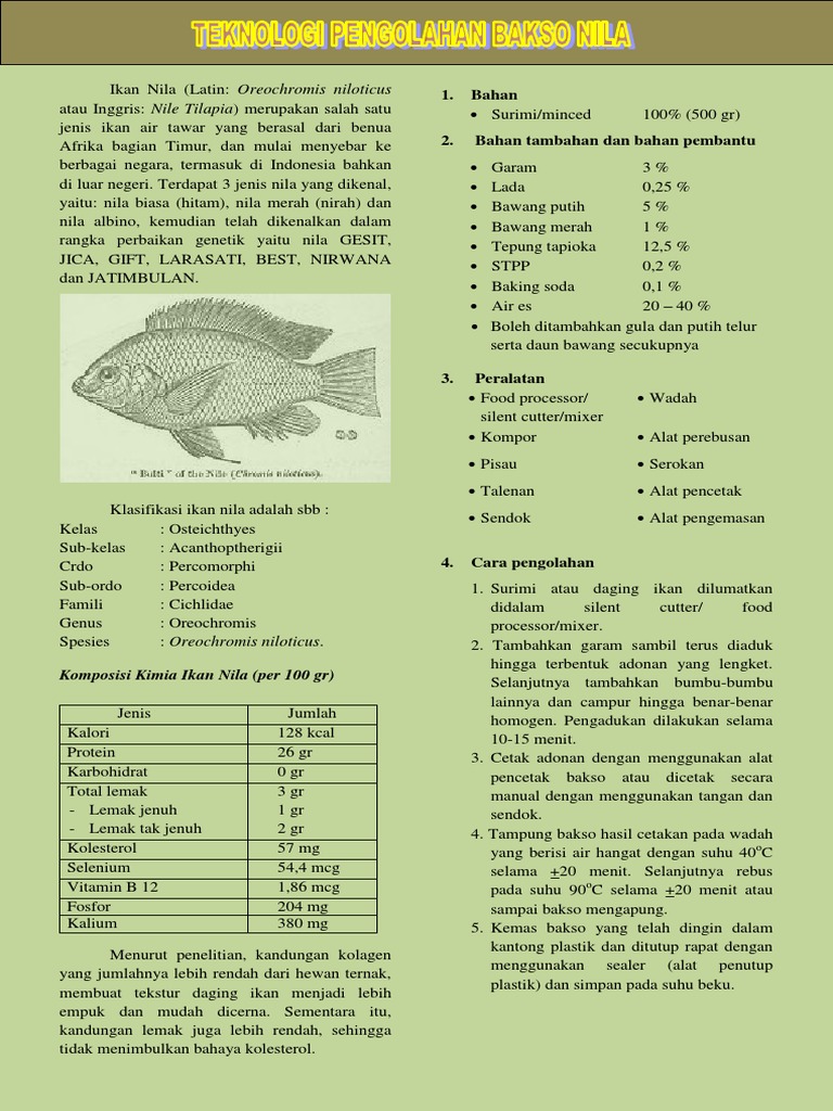Leaflet Baso Ikan | PDF