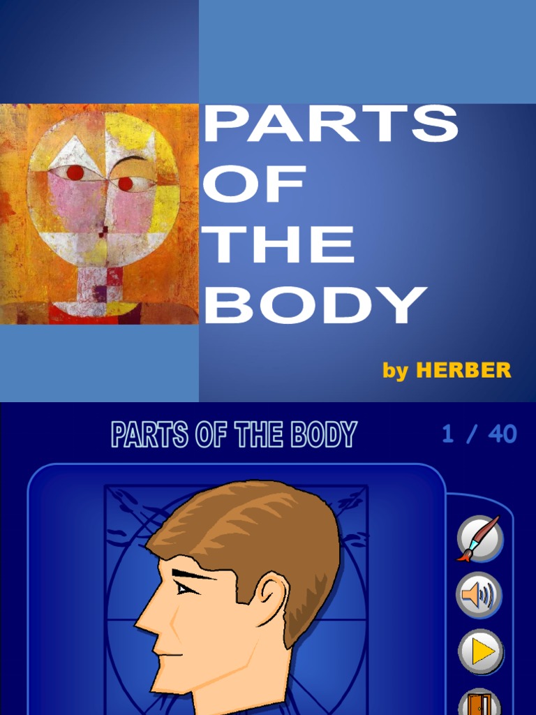 Body Parts PPT Flashcards Fun Activities Games Picture Dictionary | PDF