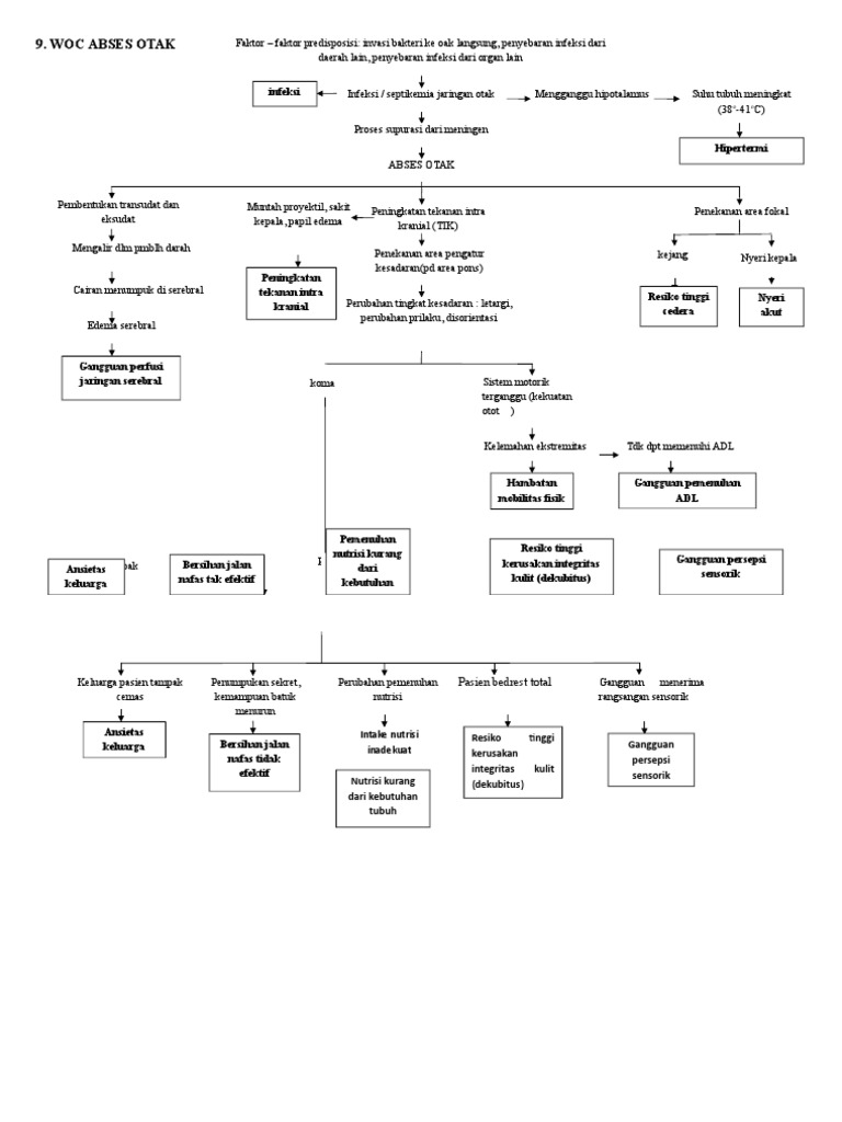 Woc Abses Serebri | PDF
