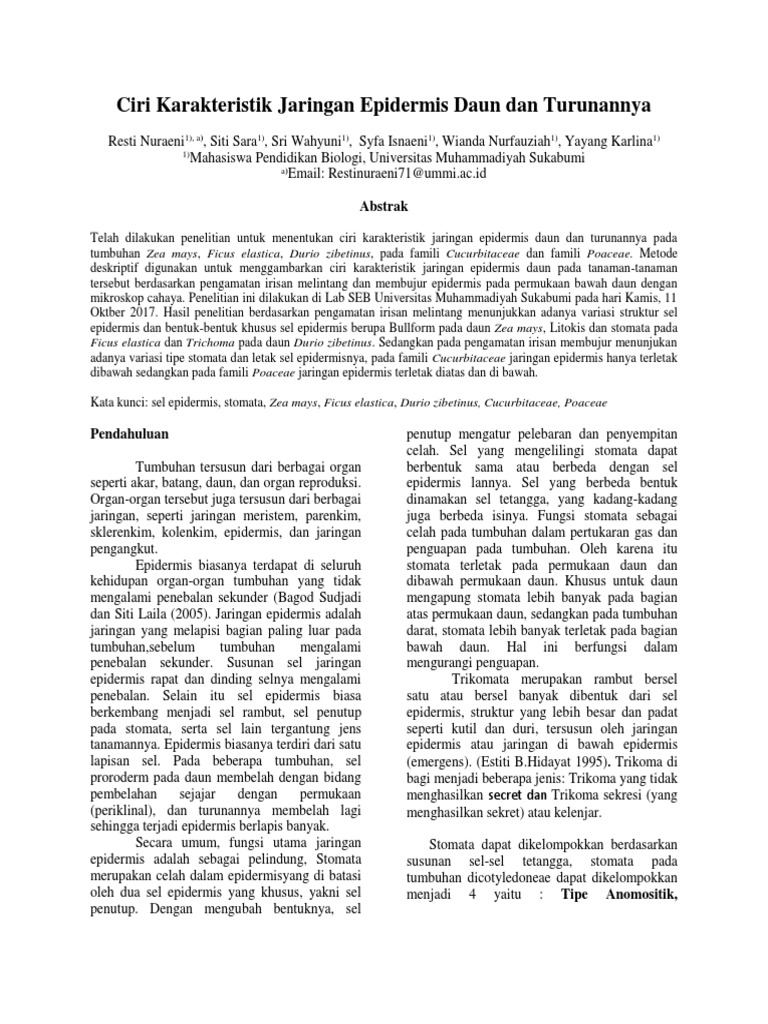 Ciri Karakteristik Jaringan Epidermis Daun | PDF