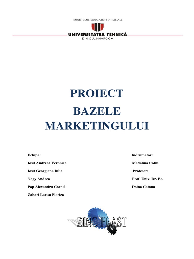 Proiect Marketing Zinc-Plast | PDF