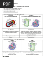 Cell Organelles Worksheet | PDF | Endoplasmic Reticulum | Cell (Biology)