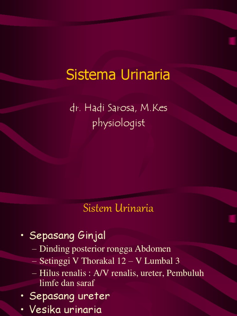 Fungsi dan Proses Sistem Urinaria | PDF