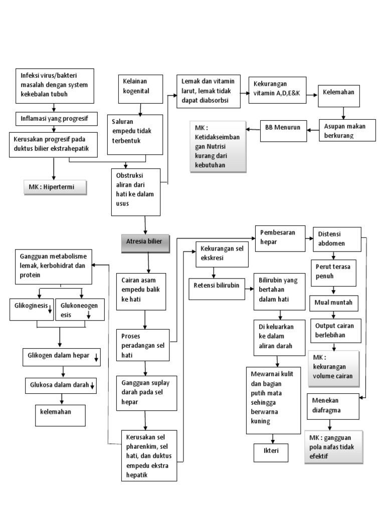 Pathway Atresia Bilier | PDF