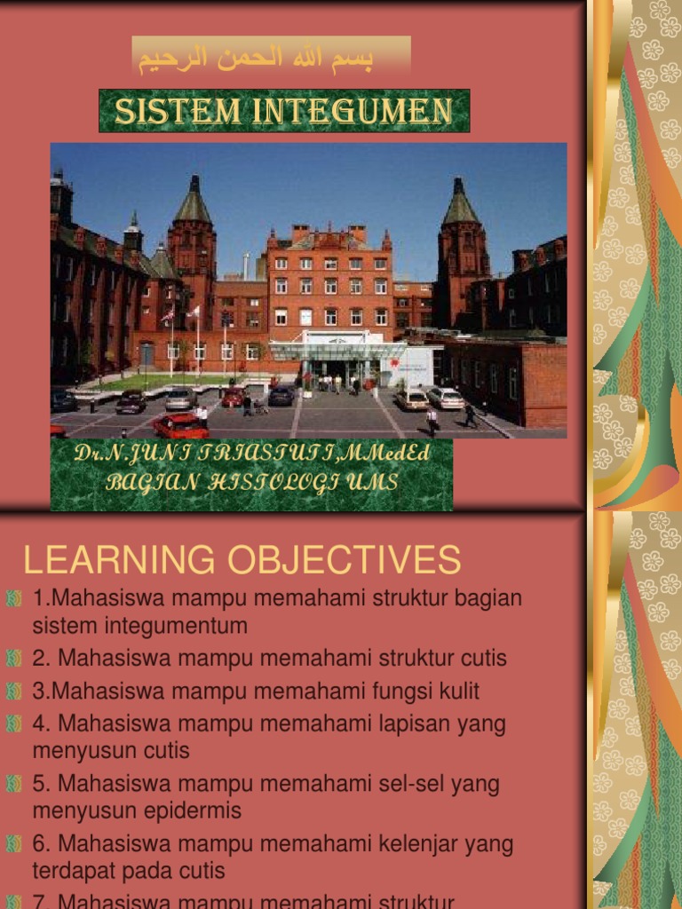 Histologi Integumen | PDF