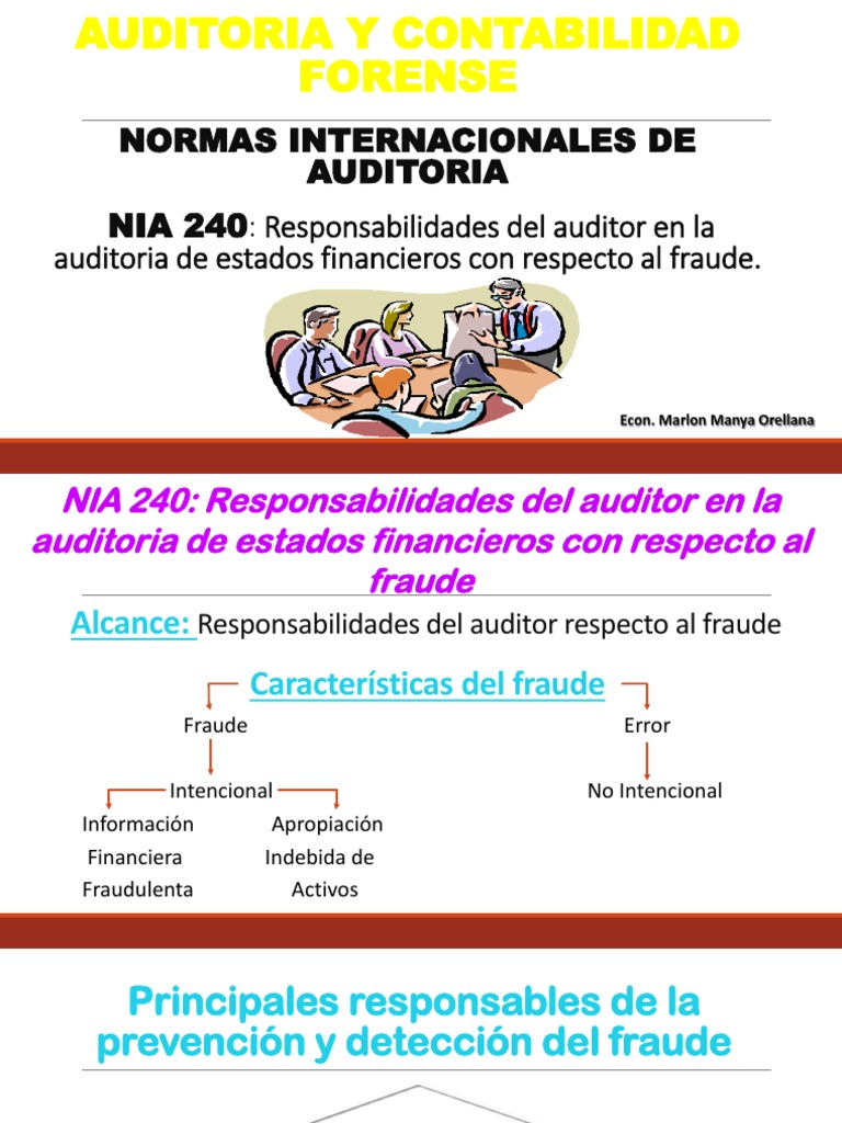 Nia 240 | PDF | Contralor | Evidencia