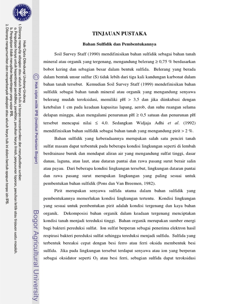 Karakteristik dan Pembentukan Tanah Sulfat Masam | PDF