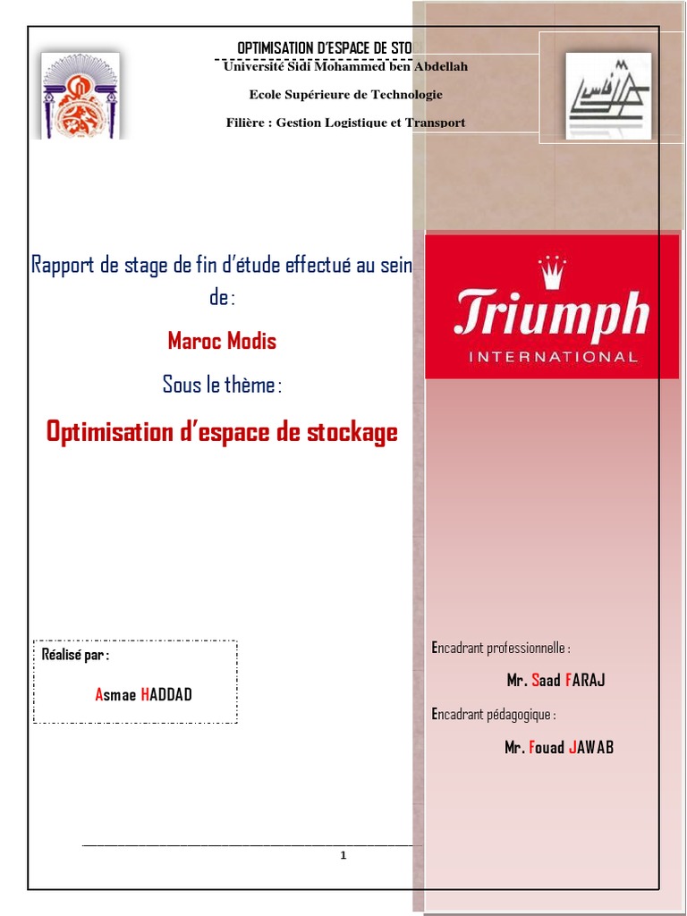 Rapport de Stage Maroc Modis | PDF | Inventaire | Business