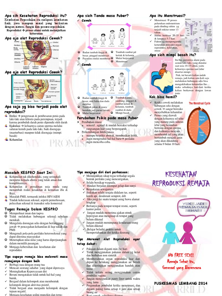 Leaflet Kespro Remaja Puskesmas Lembang | PDF