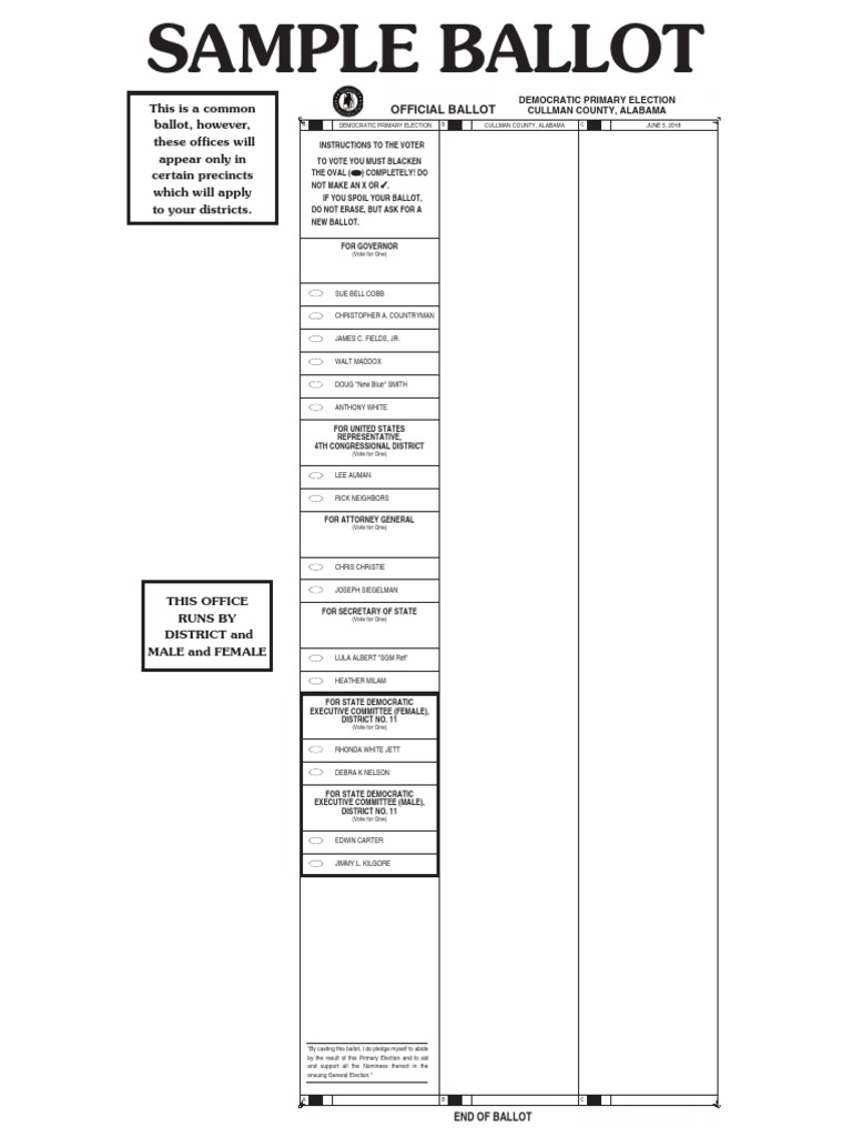 Sample Ballot - Democratic | PDF | Accountability | The United States