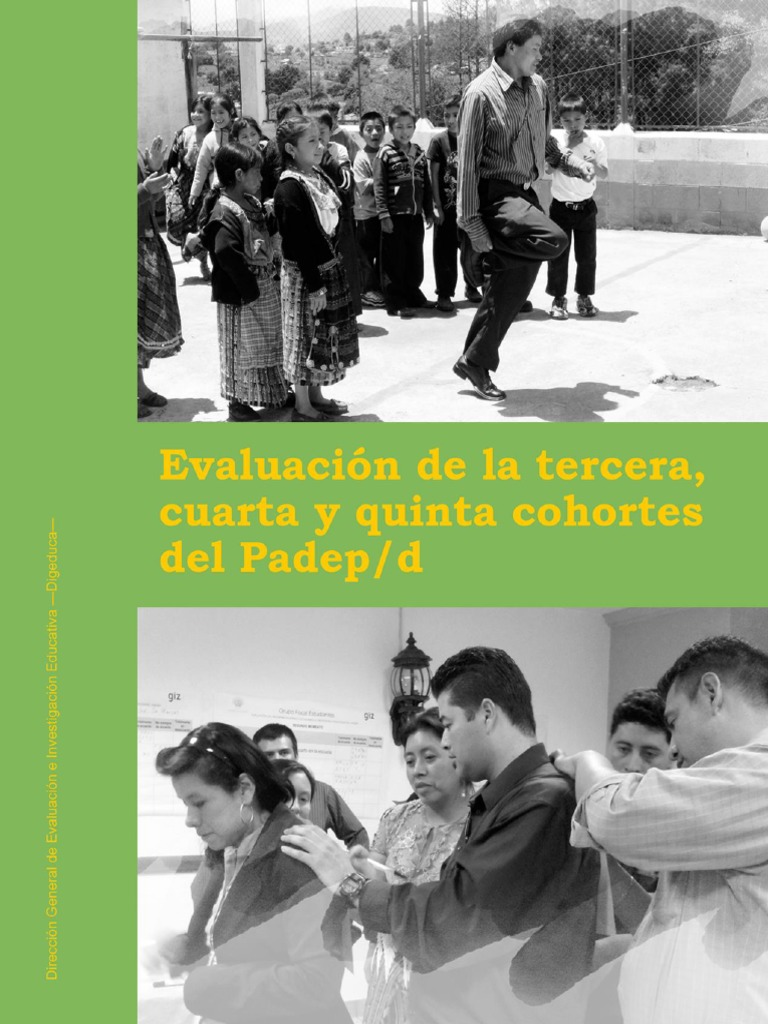 PADEP-3 4 5cohortes | PDF | Maestros | Cuestionario