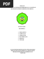 Panduan Lembar DDST untuk Anak | PDF