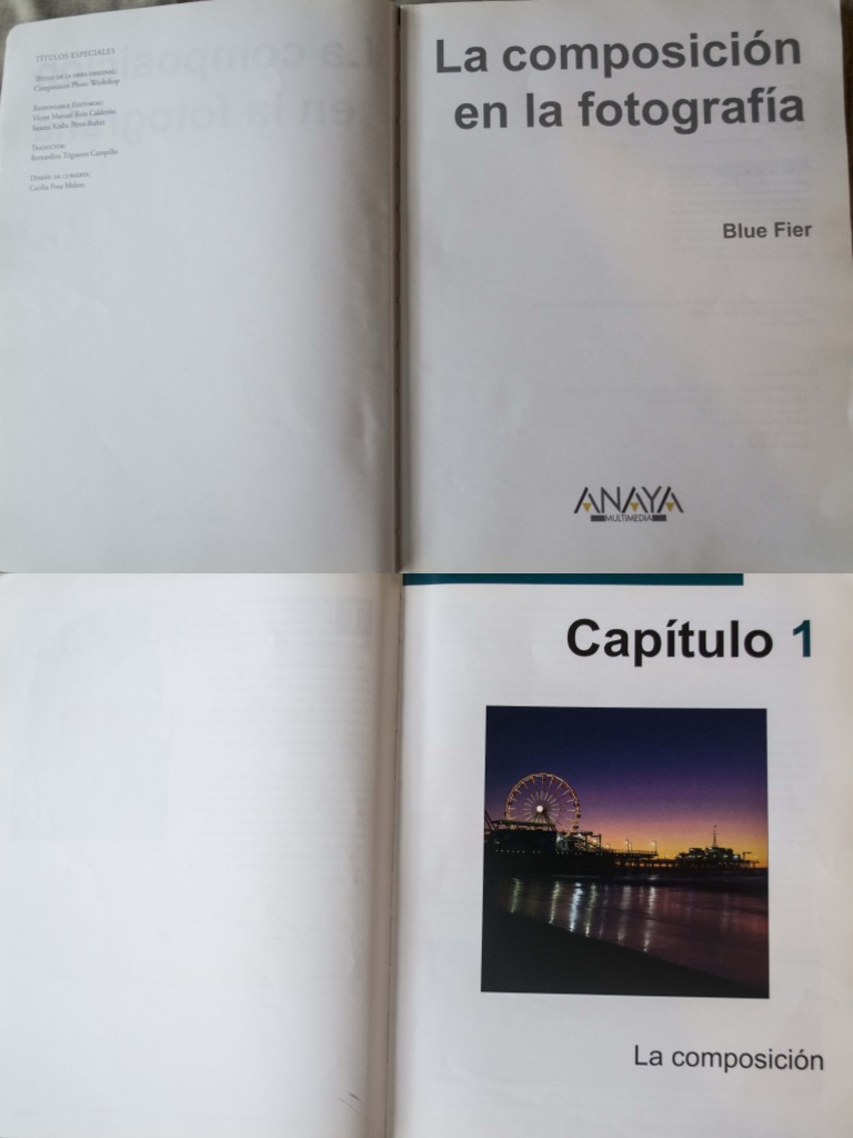 La Composición en La Fotografia - Blue Fier | PDF | Composición (artes ...