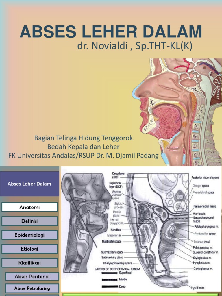 Abses Leher Dalam Forum Ppds | PDF