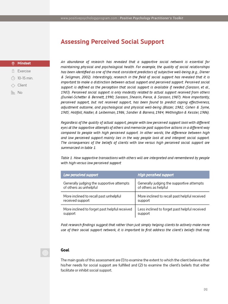 Understanding Perceived Social Support | PDF | Social Support | Perception