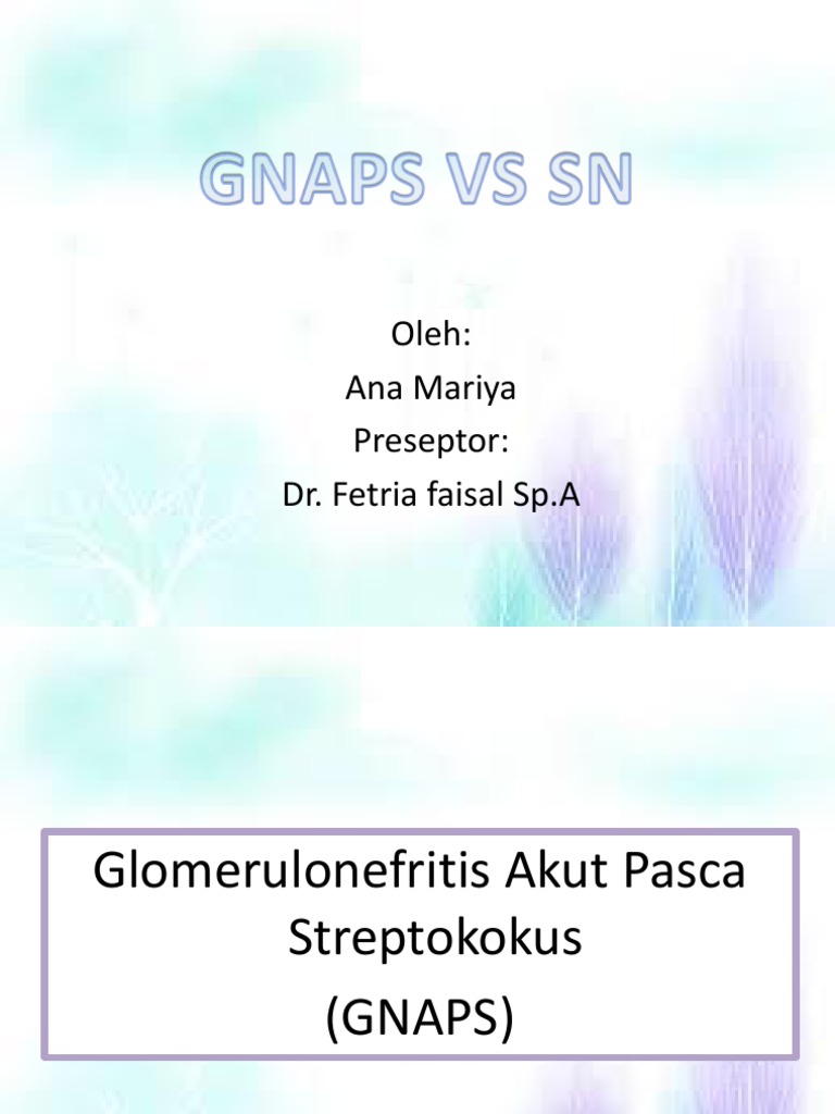 Gnaps VS SN | PDF