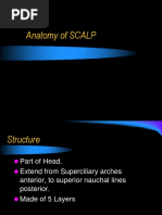 Types of Embrasures in Dentistry | PDF