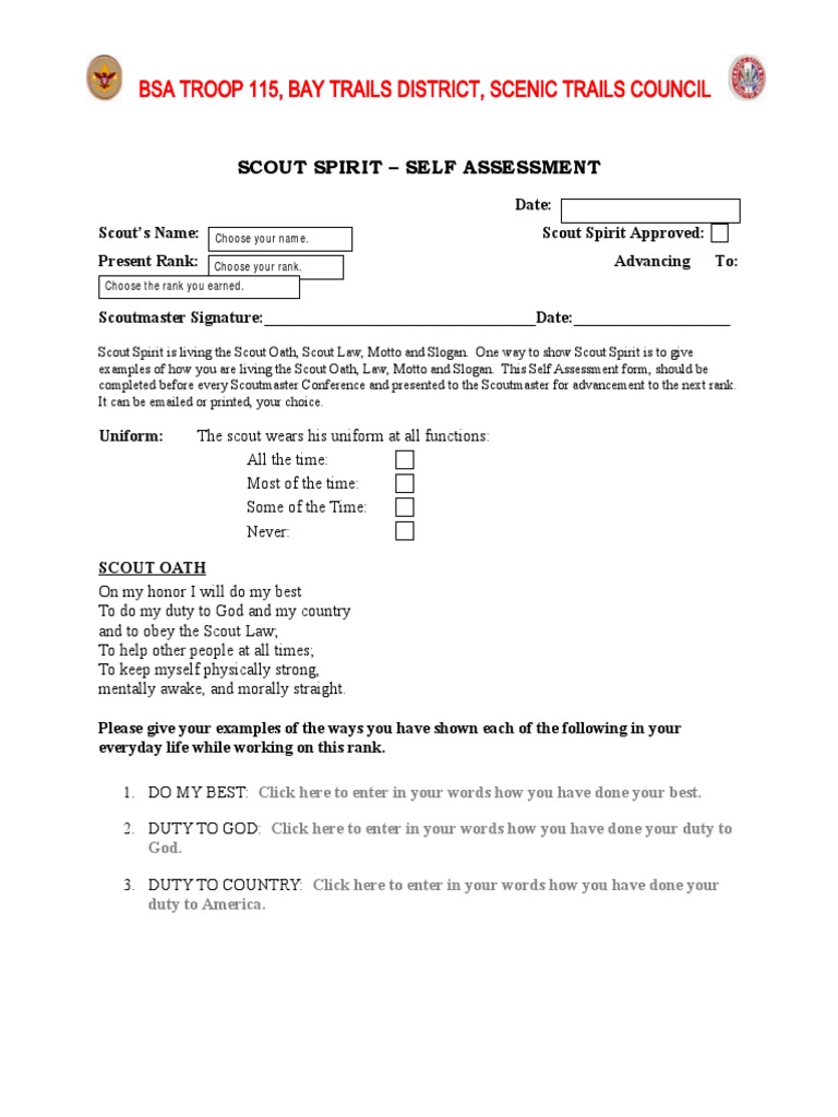 Scout Spirit Form For Word 2007 | PDF | Boy Scouts Of America