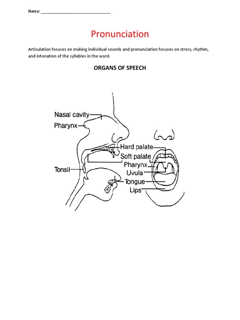 Pronunciation | PDF | Vowel | Consonant