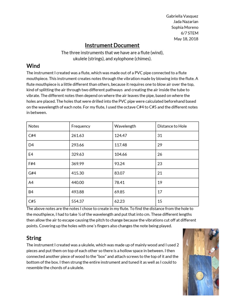 Instrument Document | PDF | String Instruments | Music Theory