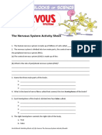 Nervous System Worksheet | PDF | Neuron | Axon