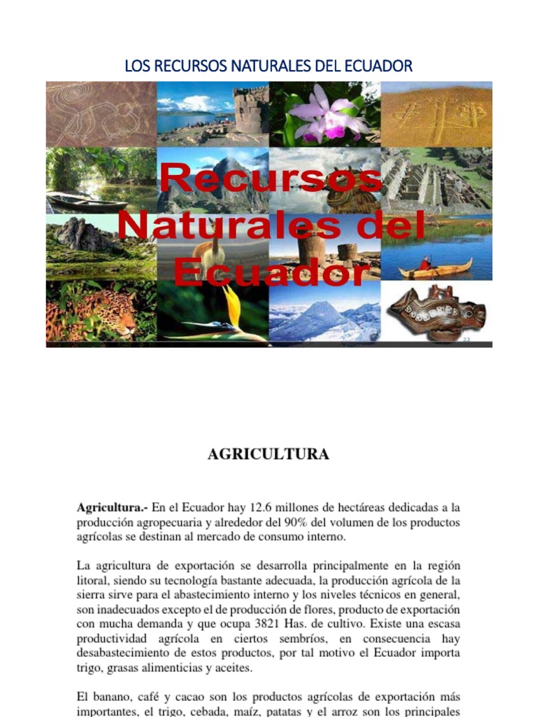 Los Recursos Naturales Del Ecuador | PDF | Petróleo | Minería