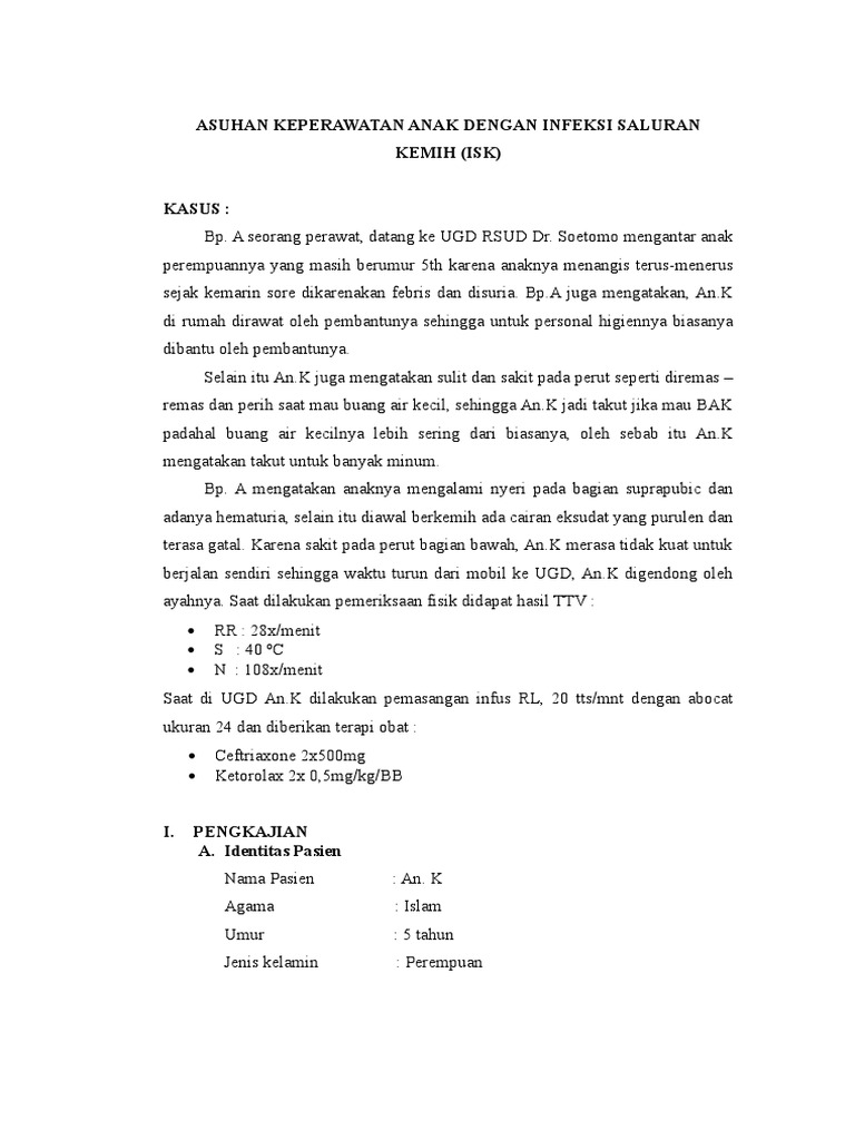 Asuhan Keperawatan Anak ISK | PDF