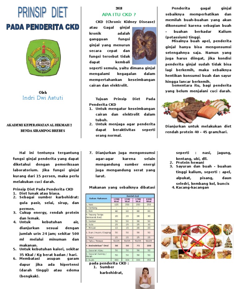 Leaflet GGK CKD | PDF