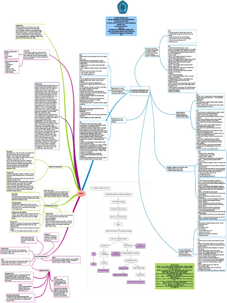 Mind Map Stemi | PDF