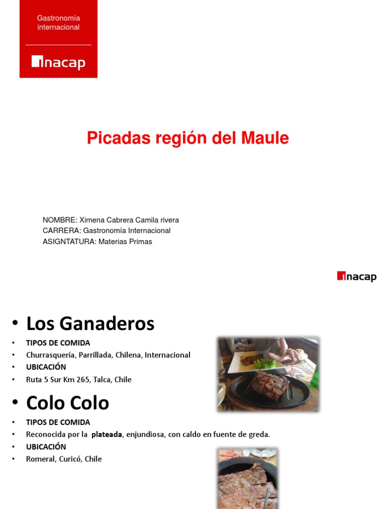 Ximena Cabrera Camila Ribera | PDF